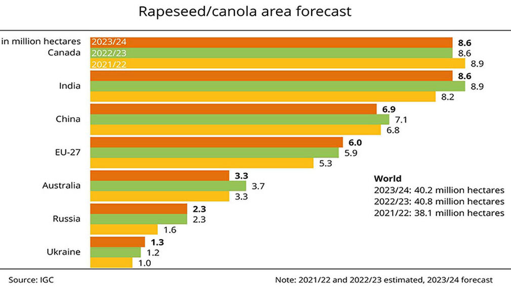 IGC forecasts marginally lower global rapeseed area for the 2023/24…