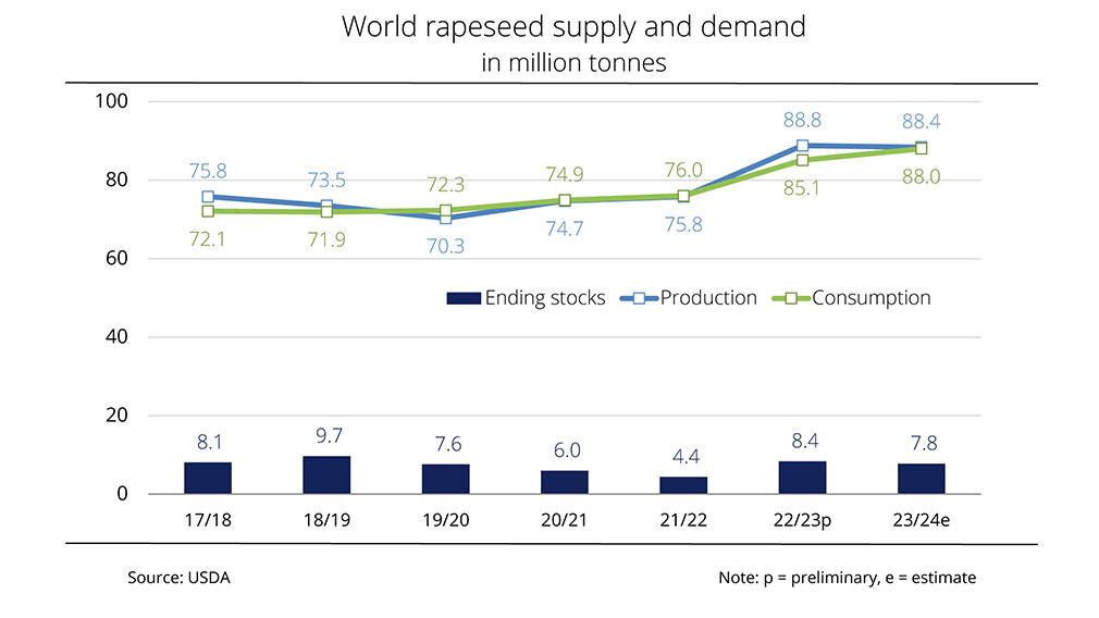 Global rapeseed production set to remain stable this year
