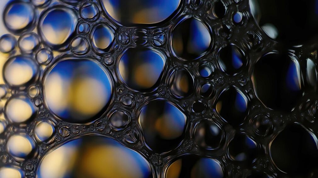 Future Origins scales up zero-deforestation ingredient for surfactants