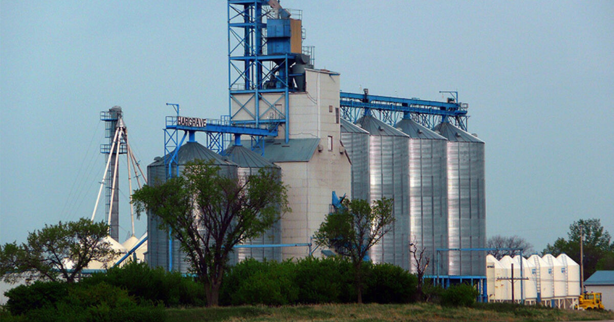 National Grain Company set to build grain and oilseed terminal in…