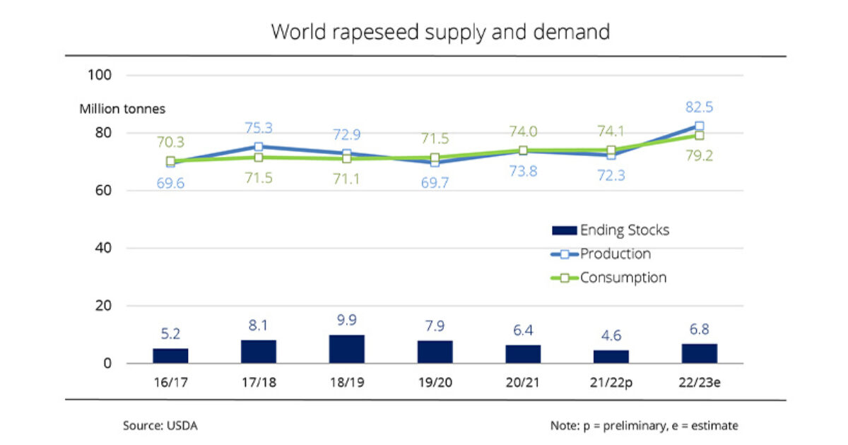 Global rapeseed harvest forecast to reach record high
