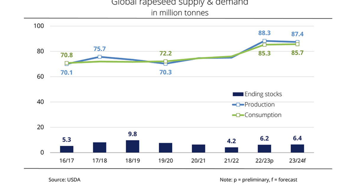 Canada set to be the world’s largest producer of rapeseed in 2023/24