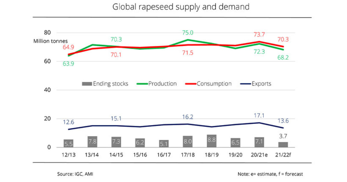 USDA forecasts lower global oilseeds production