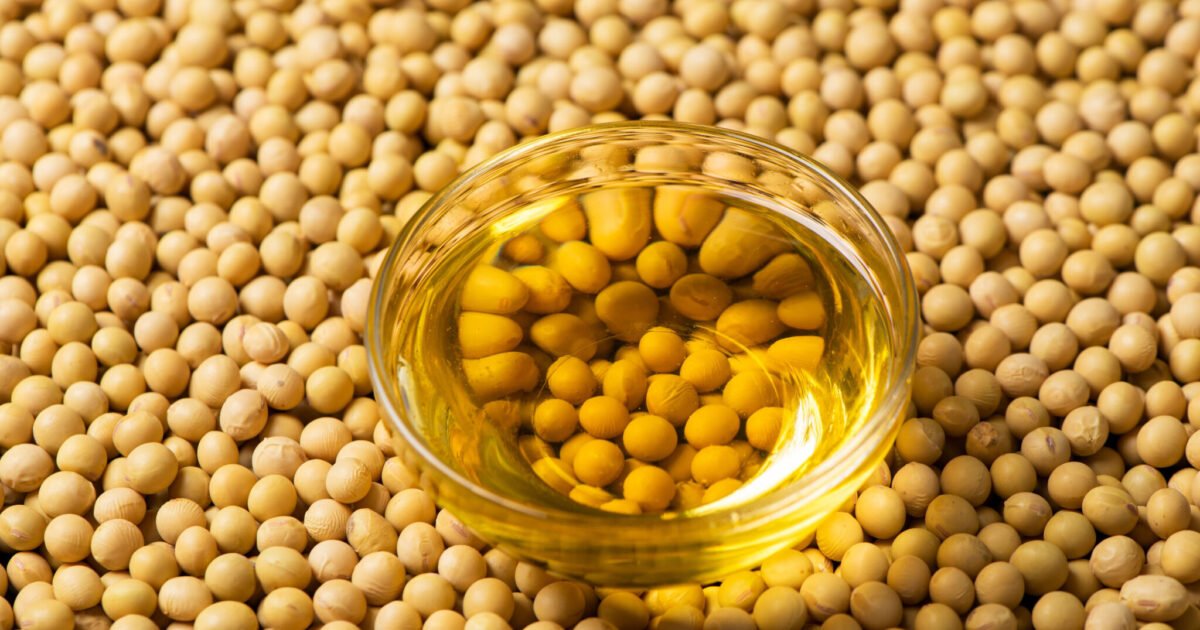 China expected to be net exporter of soyabean oil for second…