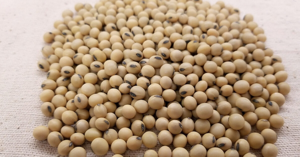 CJ Selecta sale to Bunge cancelled