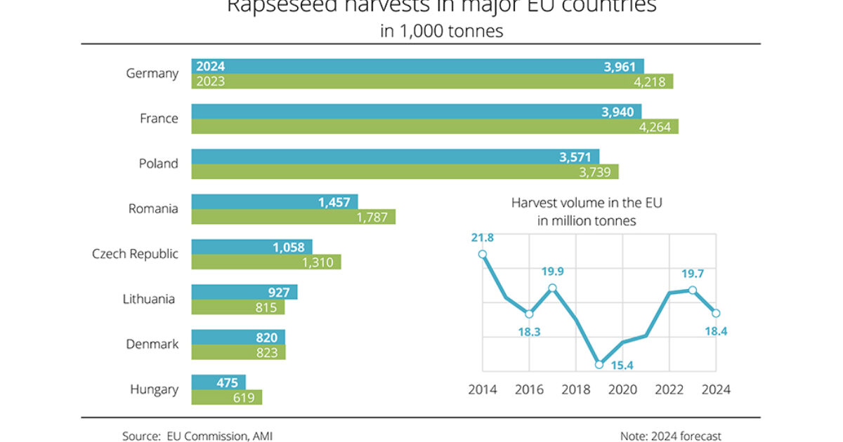 EU rapeseed harvest set to fall by up to 1.3M tonnes this year from…