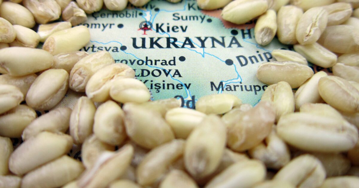 Ukraine reaches grain transit agreement with Poland and Lithuania